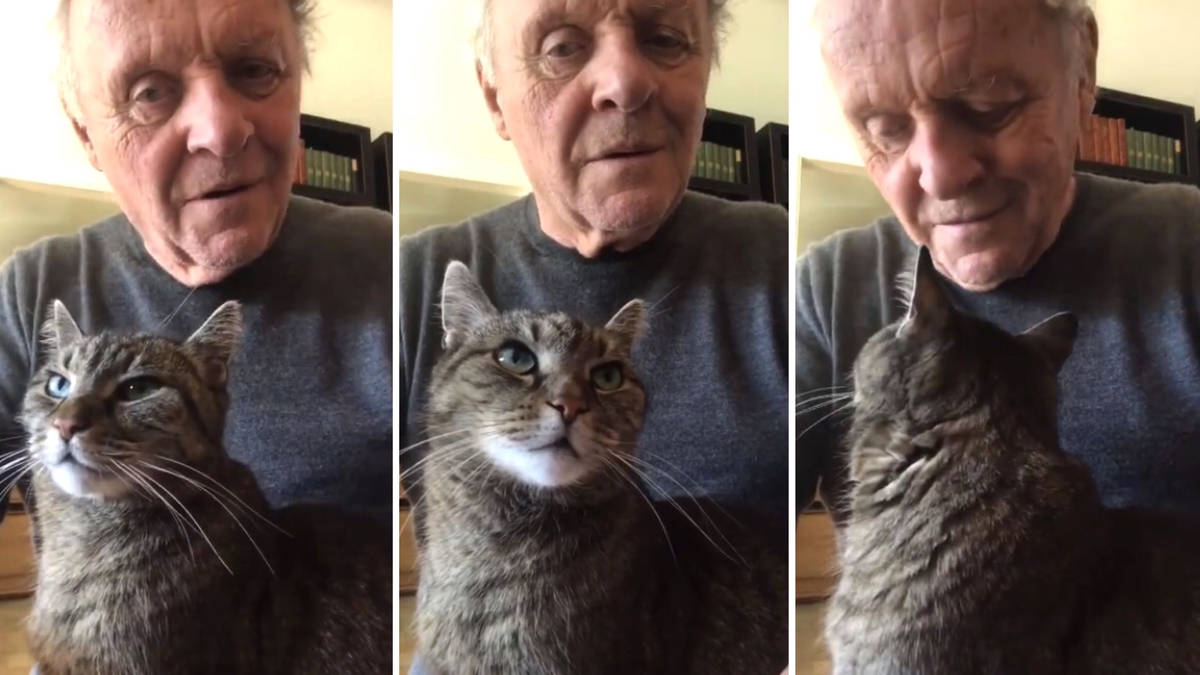 Anthony Hopkins playing piano for his cat while in quarantine is what ... Anthony Hopkins playing piano for his cat while in quarantine is what ...